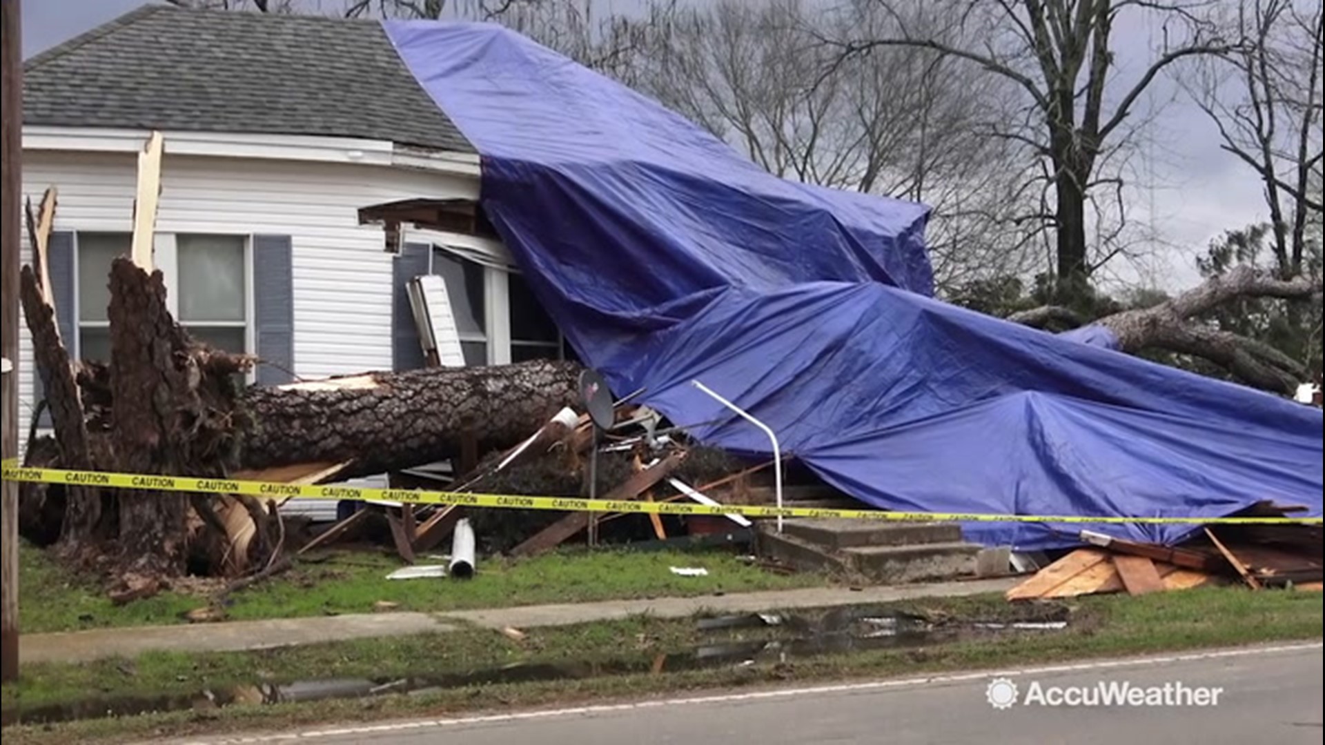 Tree hits this house, leads to one fatality | king5.com