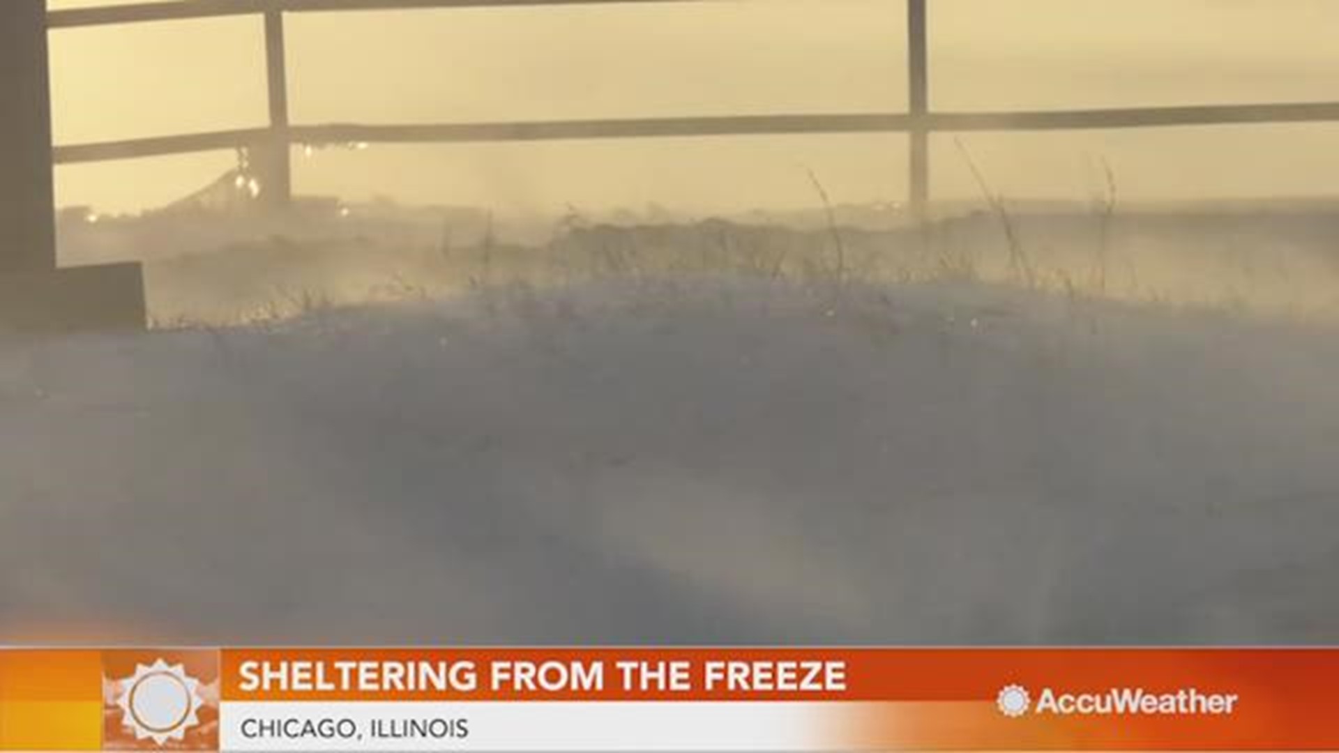 Record freeze to continue for parts of Midwest Thursday | king5.com