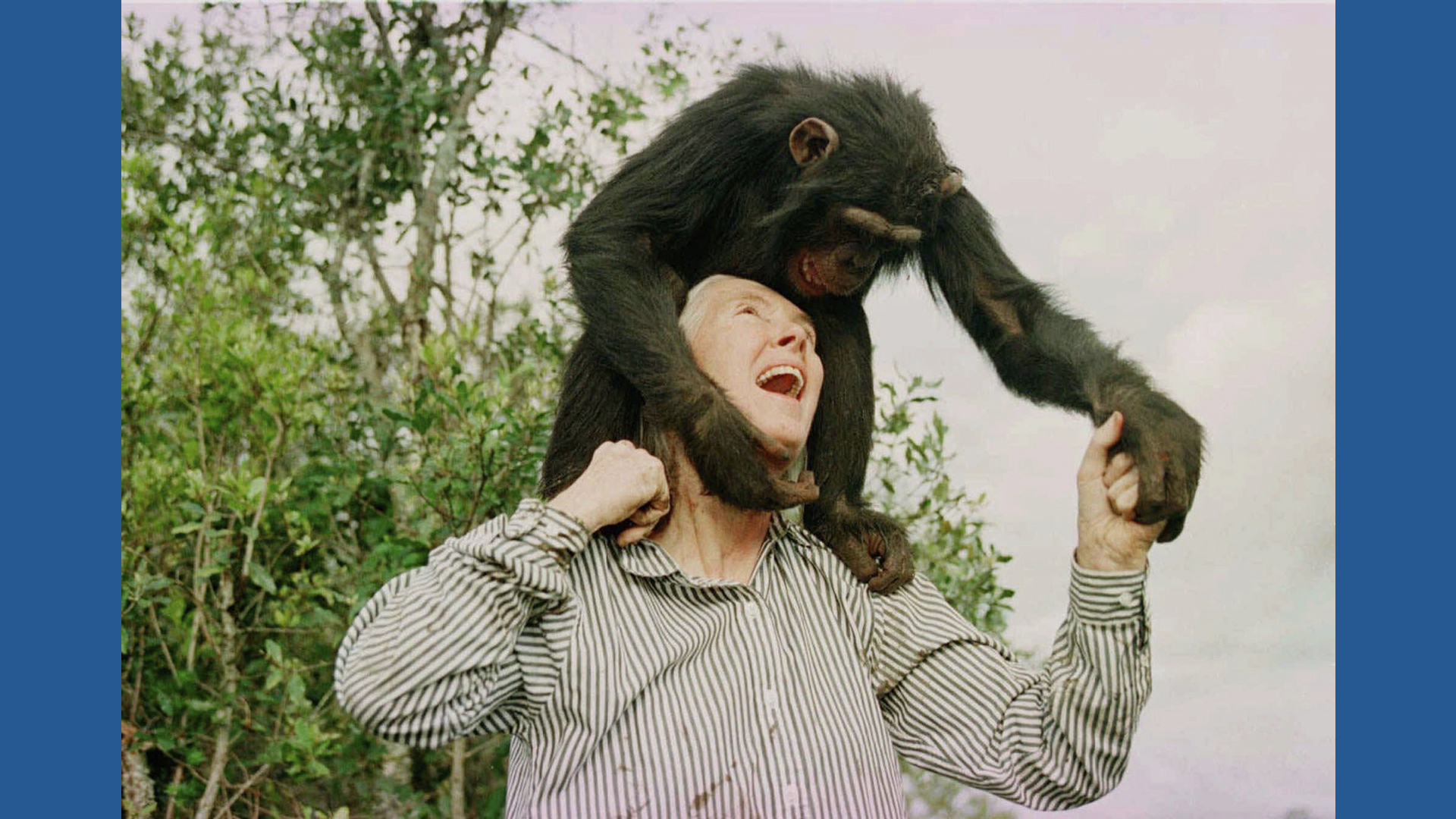 Remembering Jane Goodall in photos: the conservationist renowned for ...
