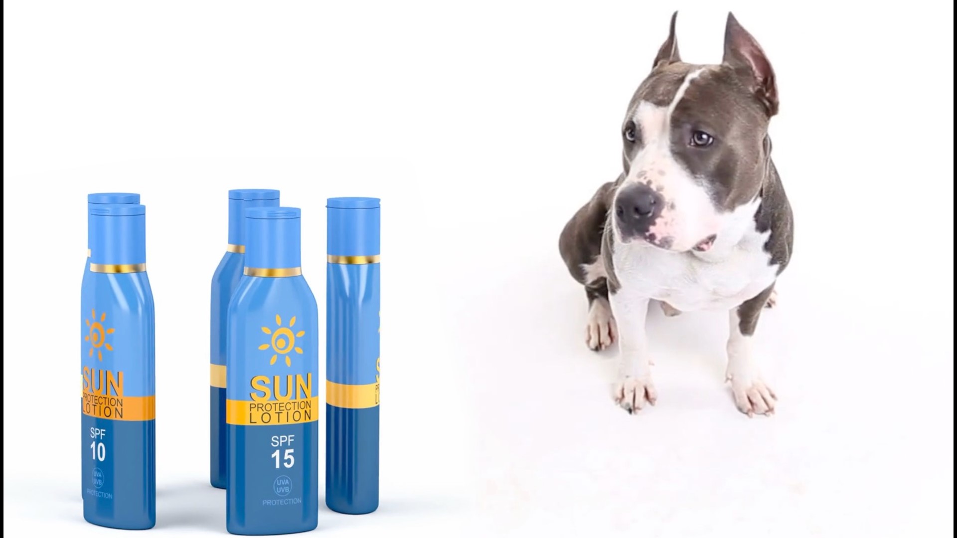 Can I Put Sunscreen On My Dog