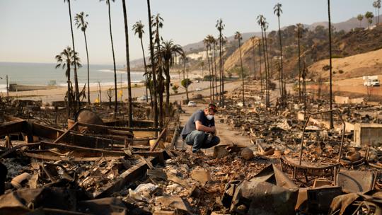 Raising Cane's updates Seattle-area restaurant opening timelines ...