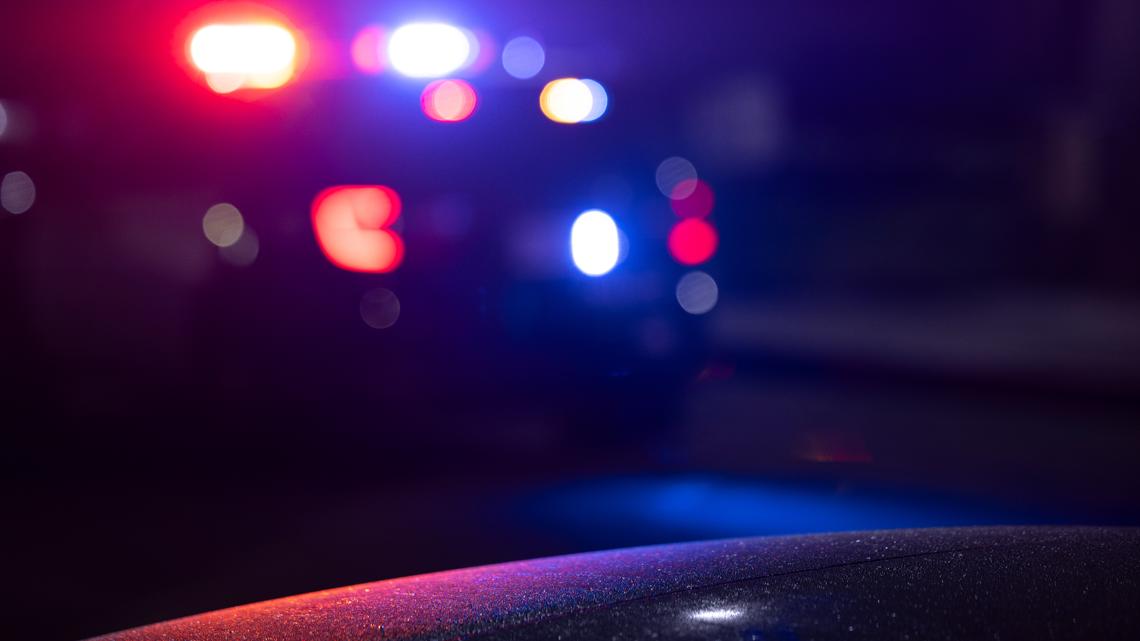 Actor James Handy stabbed to death by girlfriend's son: Police | king5.com