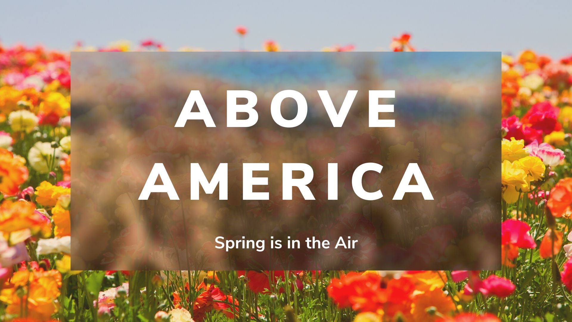 Above America | Spring is in the air | king5.com