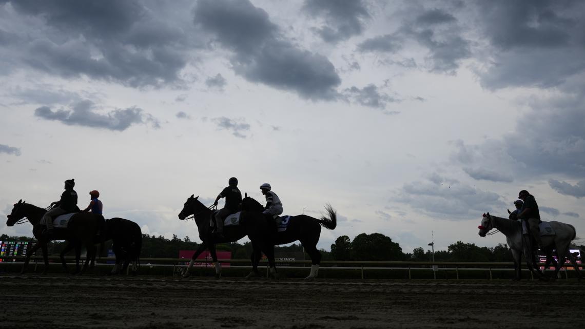 17 racehorses killed in Saratoga Springs barn fire | king5.com