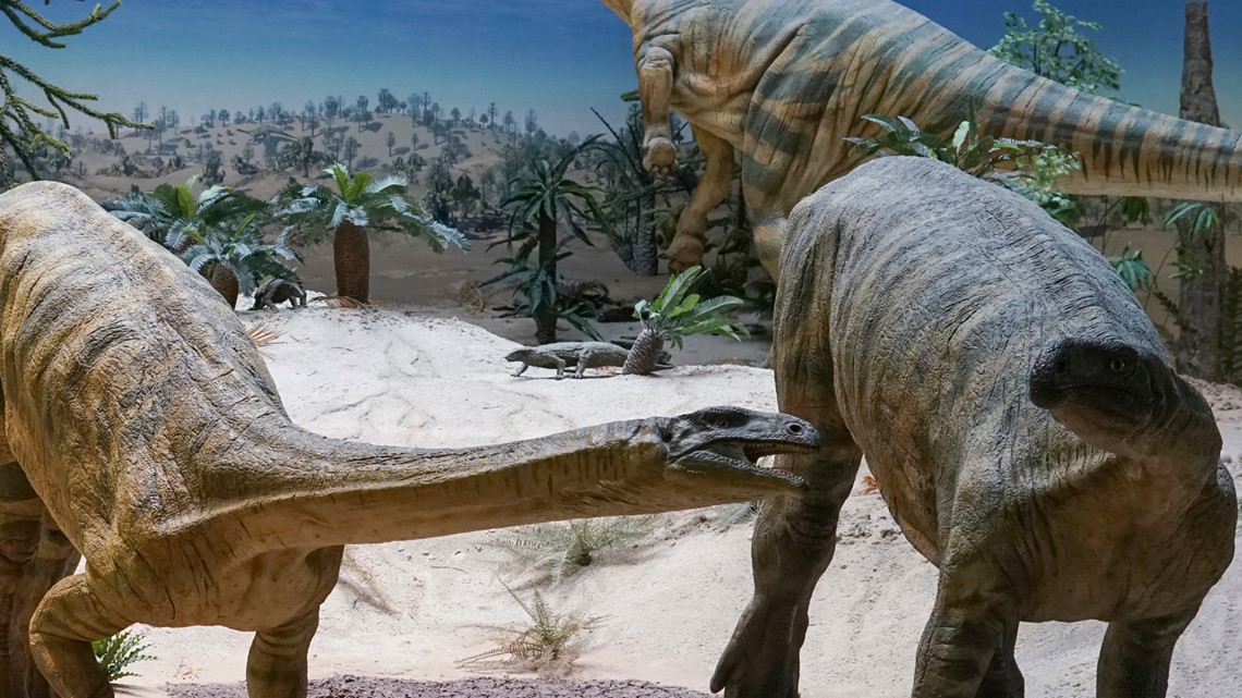 Climate change impacted dinosaur migration, study shows | king5.com