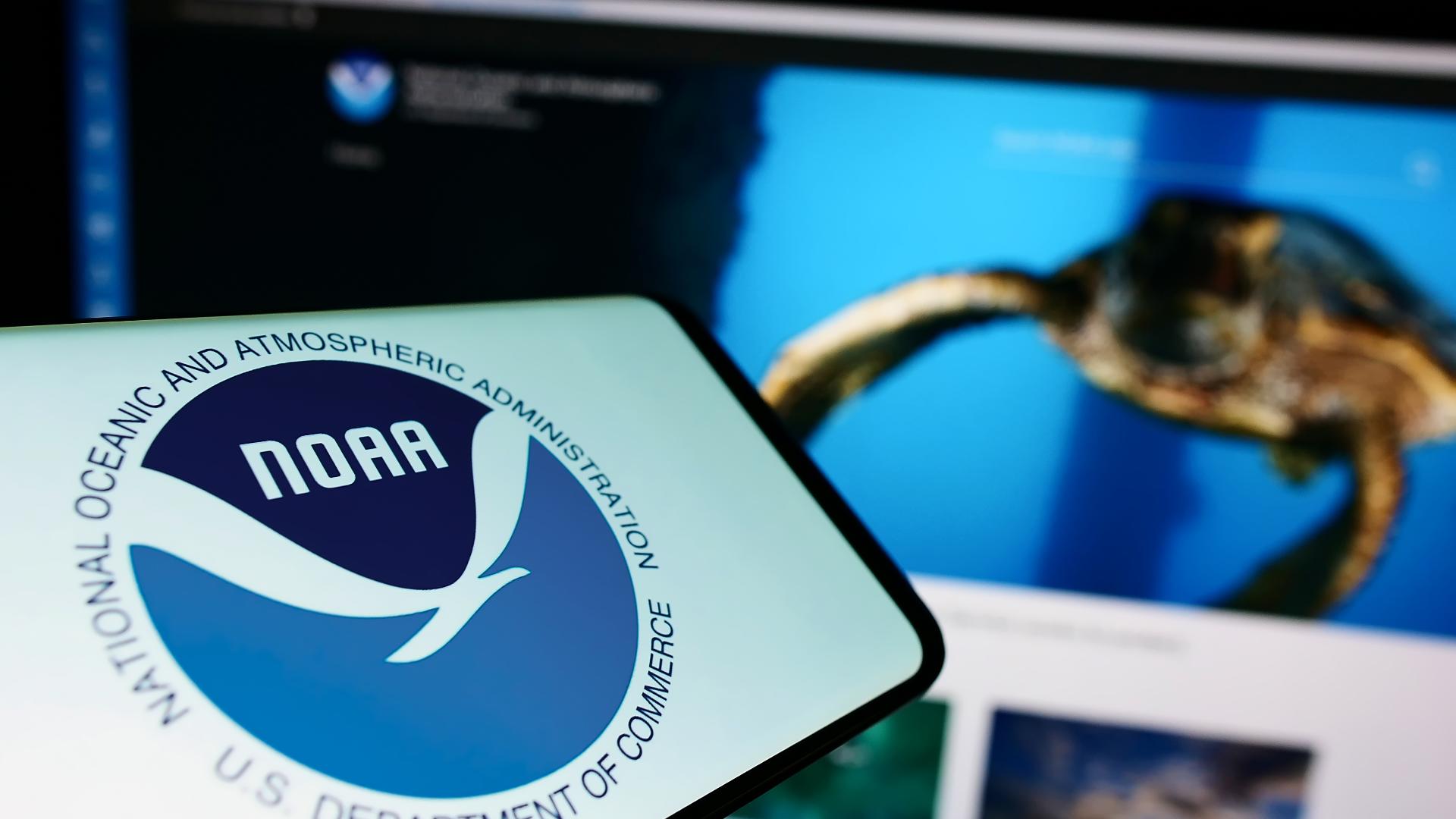 Meg Coyle | king5.com