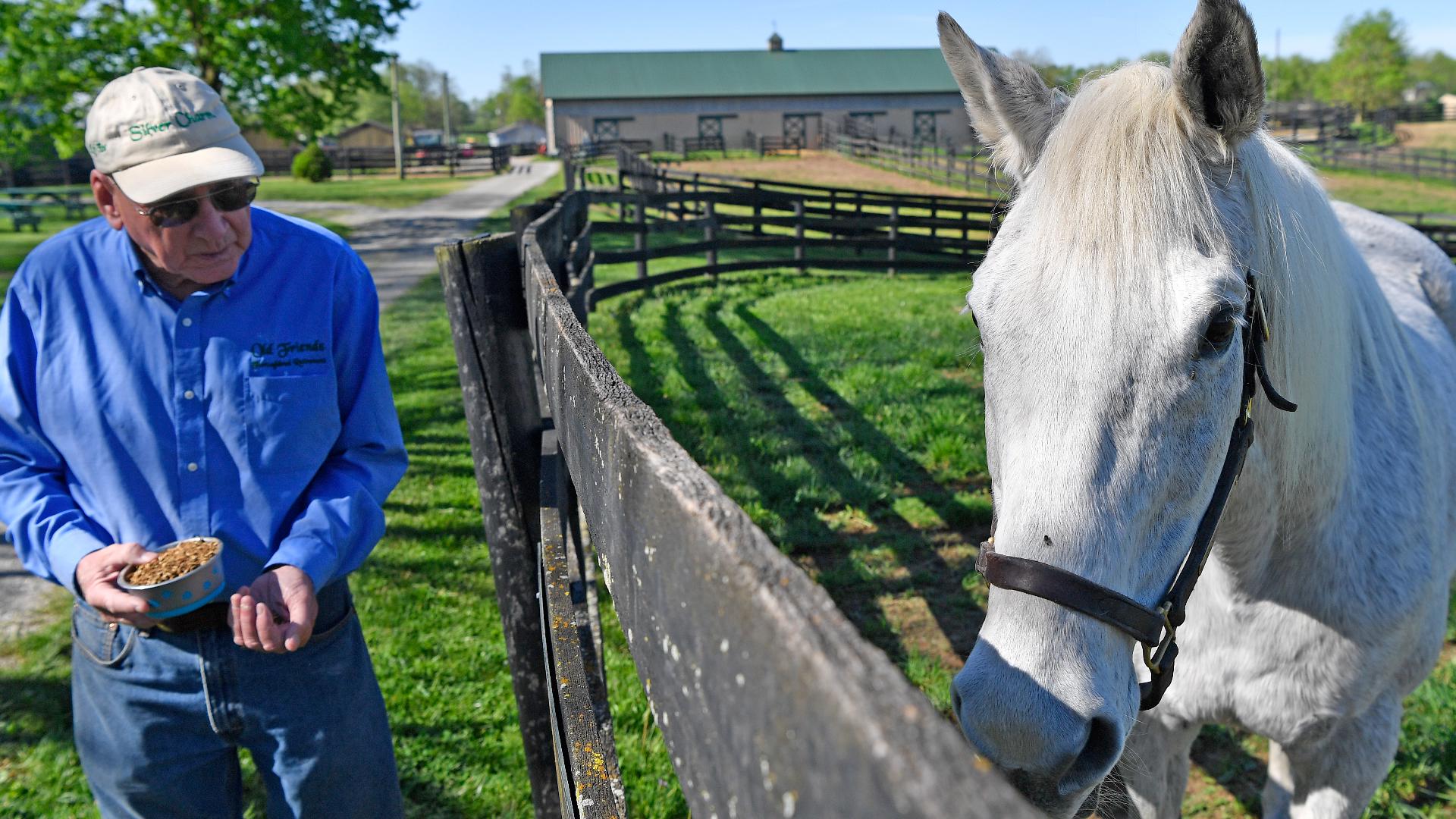Oldest Derby-winning horse Silver Charm thriving in retirement | king5.com