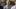 Teen accused of killing stepsister on Carnival Cruise taken into ...