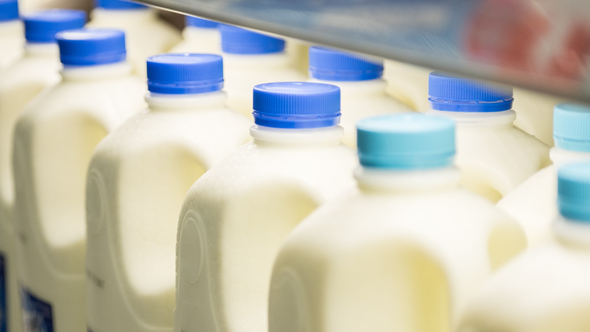 H5N1 in raw milk prompts required dairy inspections, USDA announces ...