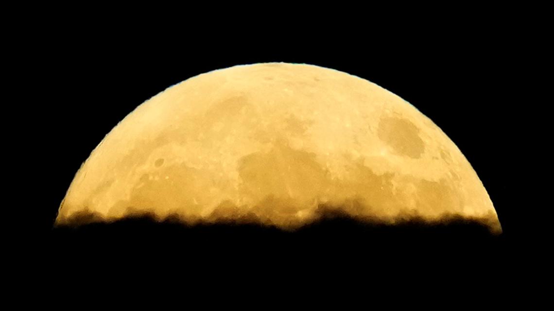 Seattle Kraken cut season ticket prices for 2025-26 season | king5.com