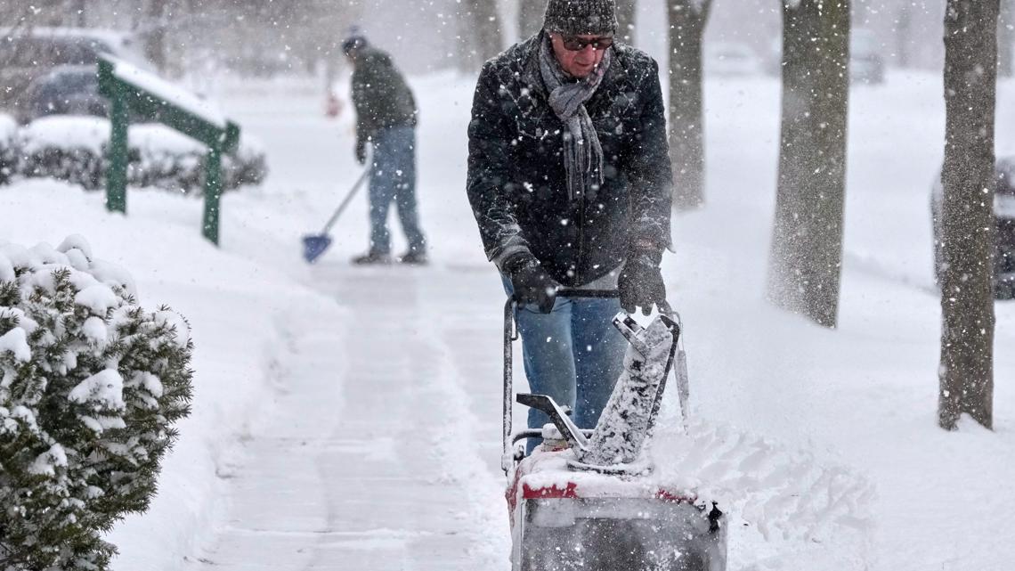 Suciasaurus rex becomes official Washington state dinosaur | king5.com
