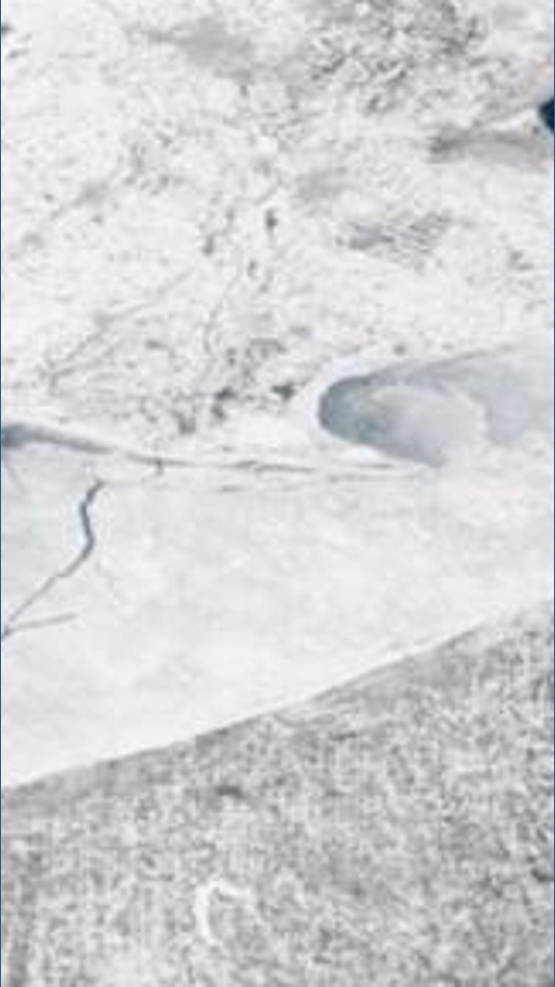 Senate advances bill regulating 'Flock' license plate reader cameras | king5.com