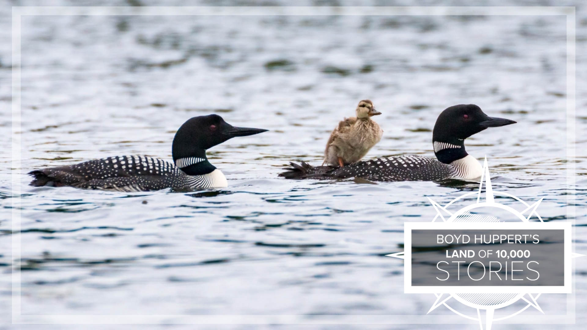 KING Chief Meteorologist Jeff Renner retires after 39 years | king5.com