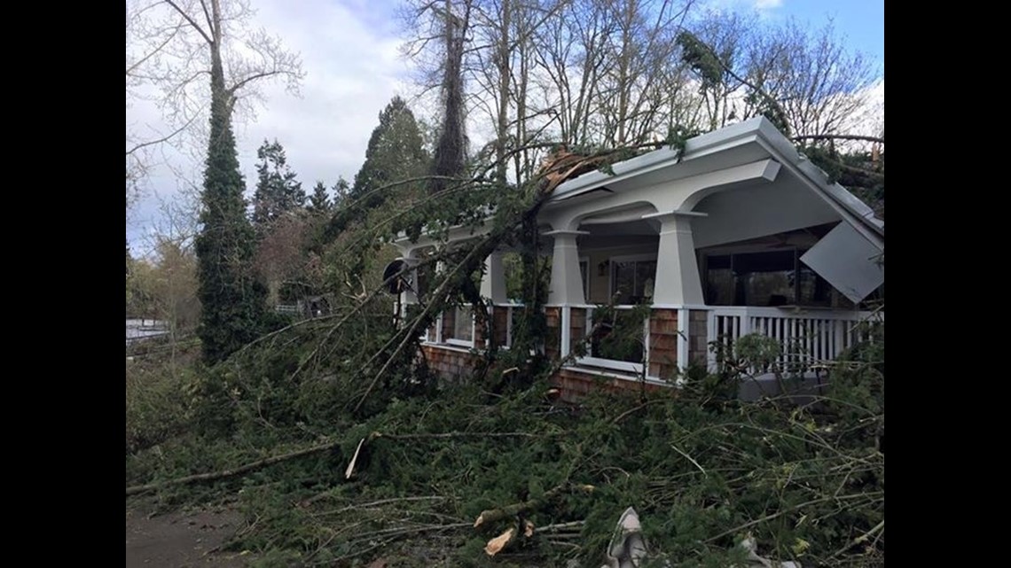 PHOTOS: Wind storm topples trees across Portland region | king5.com