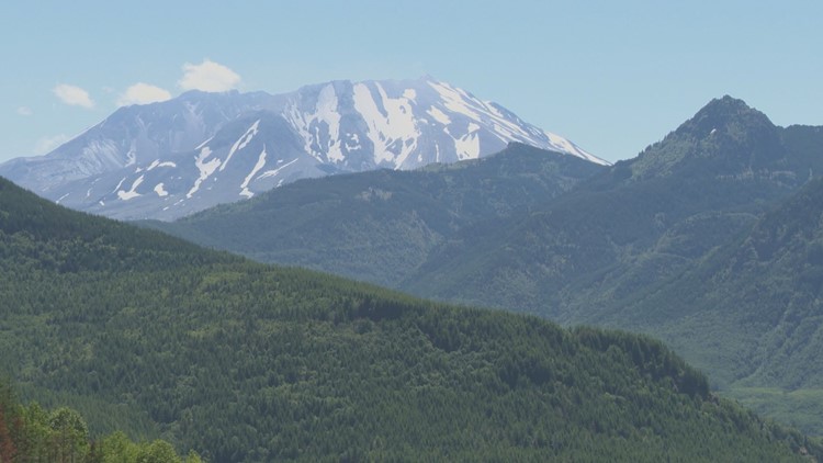 Missing Washington County Man Found Dead Near Mount St Helens