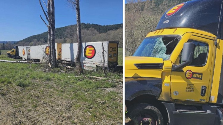 Turkey crashes through truck windshield, hits and injures driver ...