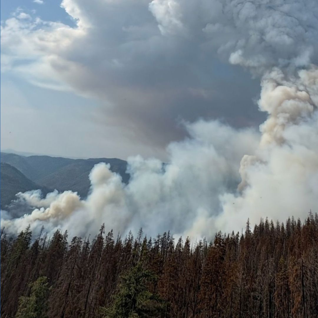 Wildfire prompts closures in Willamette and Umpqua forests | king5.com