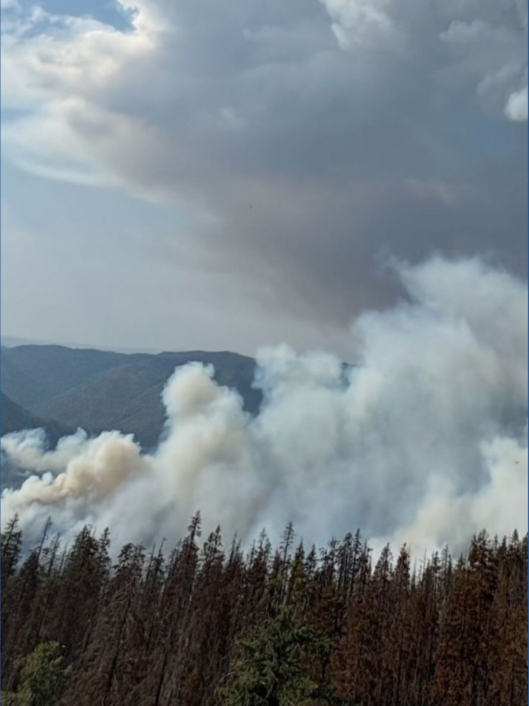 Wildfire prompts closures in Willamette and Umpqua forests | king5.com