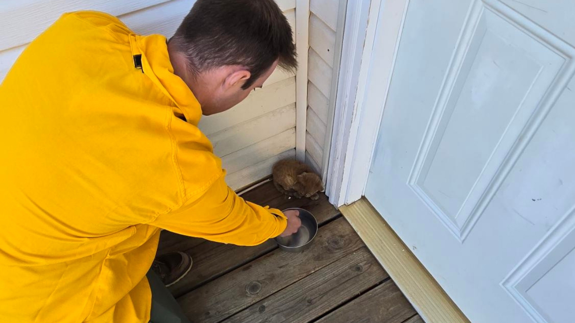 Badly burned kitten in Rowena Fire rescued by KGW crew | king5.com