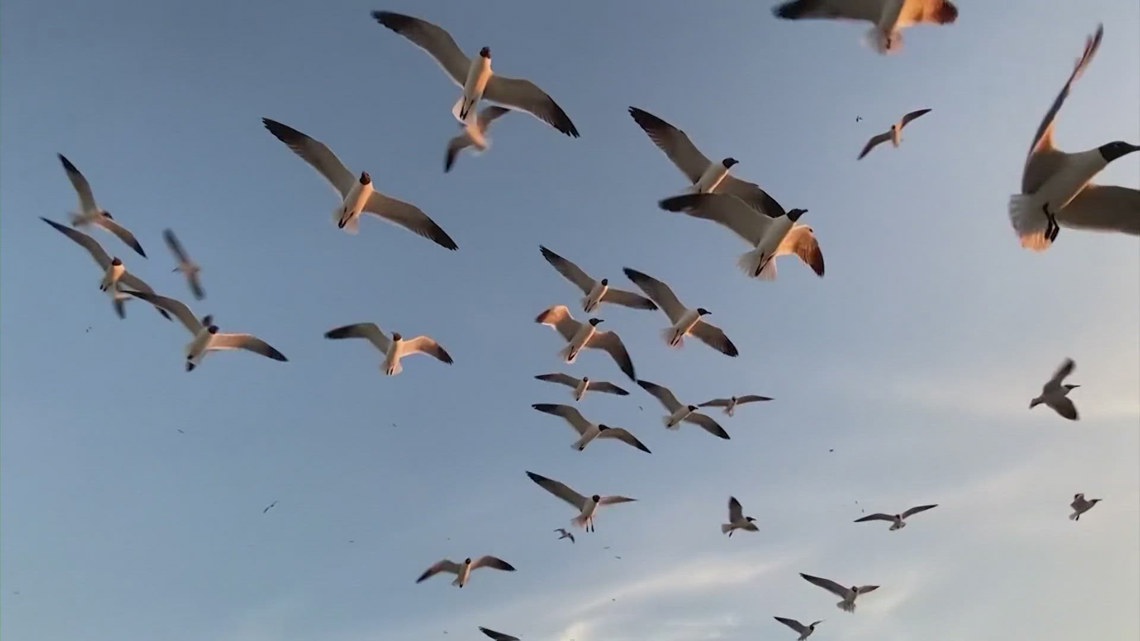 Pierce County plans $200M overhaul for outdated Remann Hall | king5.com