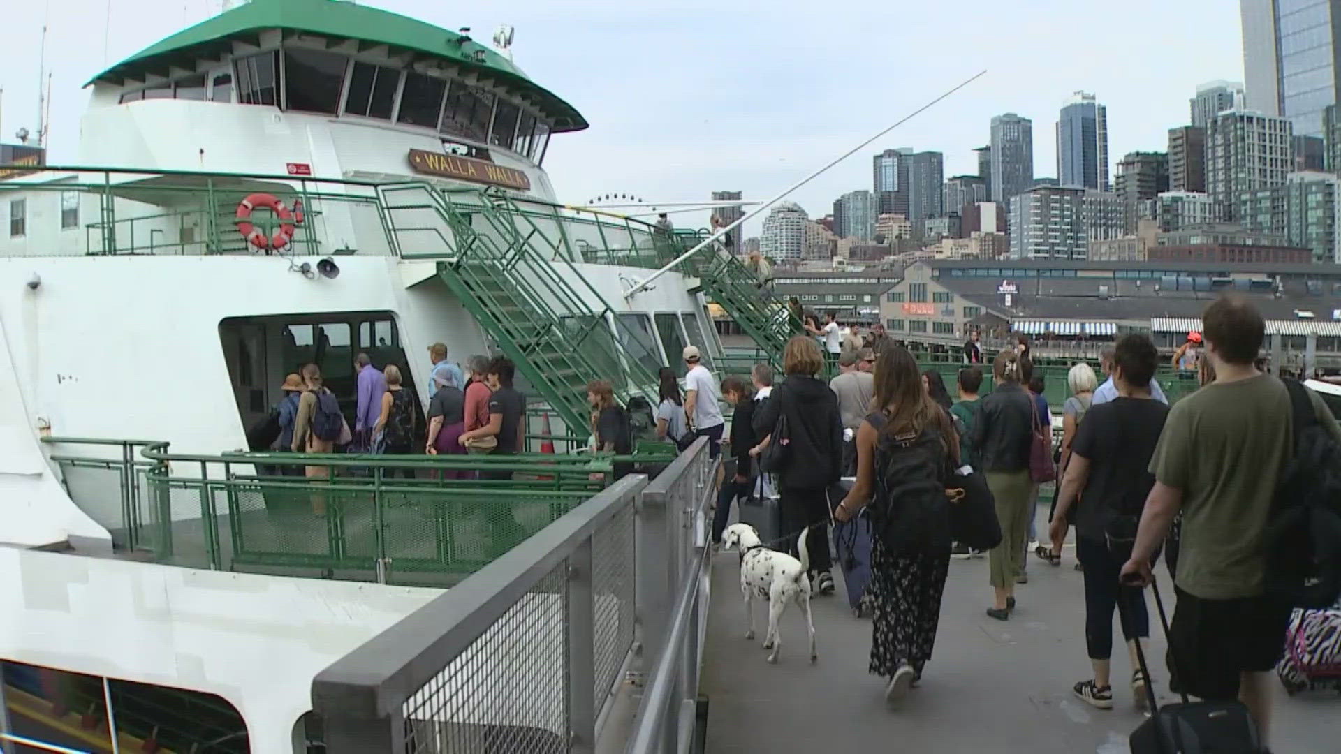 Leashed pets allowed inside Washington State Ferry cabins this summer ...