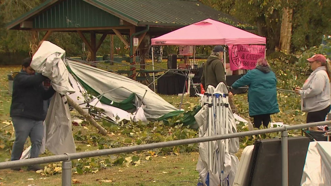 'Everyone started screaming': Fallen tree leaves 1 dead in Pierce ...