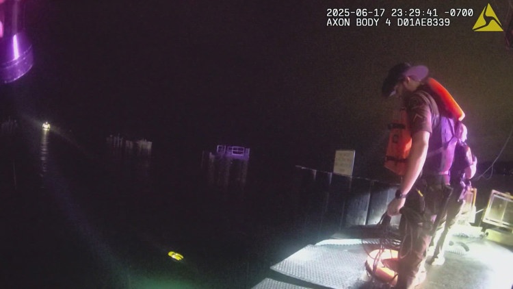 Suspect that allegedly drove car off Edmonds ferry dock appears in ...