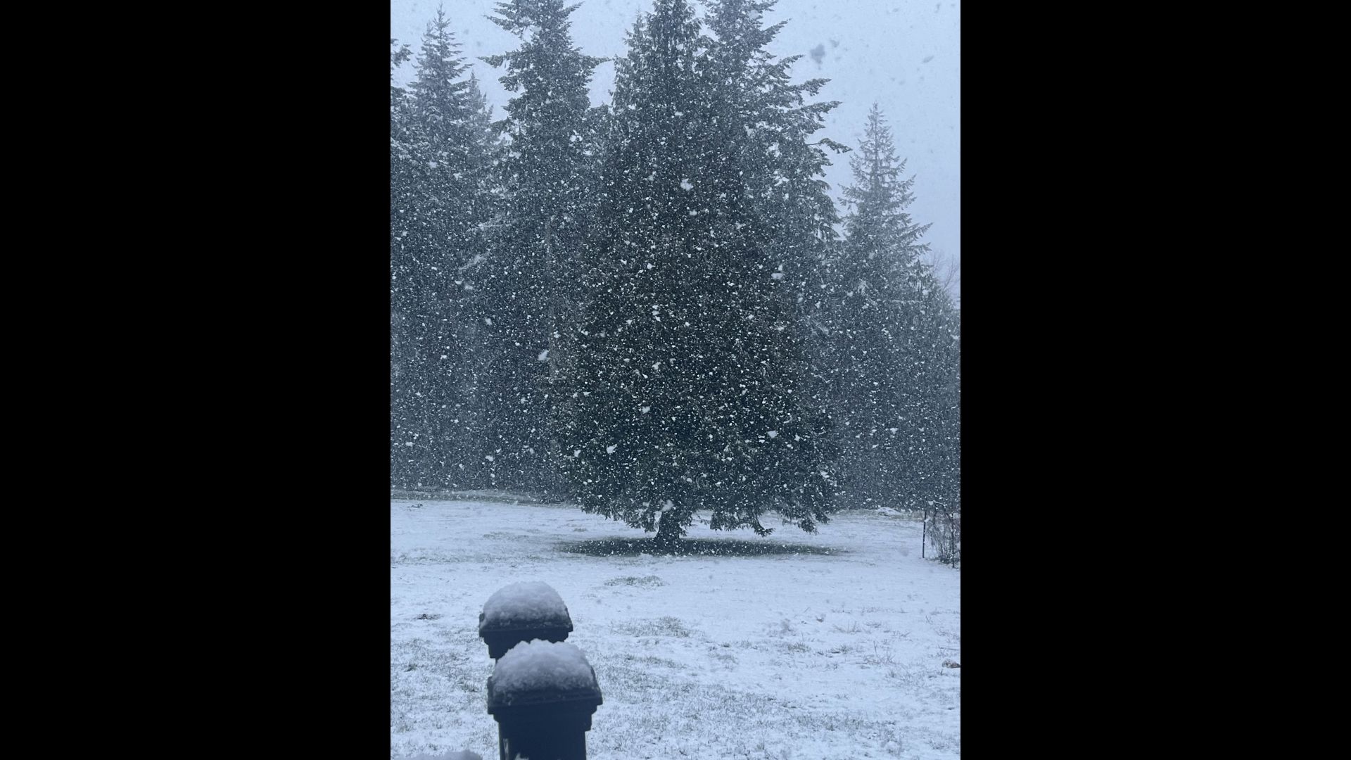 Western Washington lowlands see snowfall | king5.com