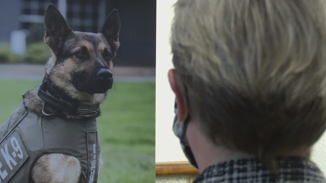 Fallen Seattle police K9 'Jedi' honored with public memorial | king5.com