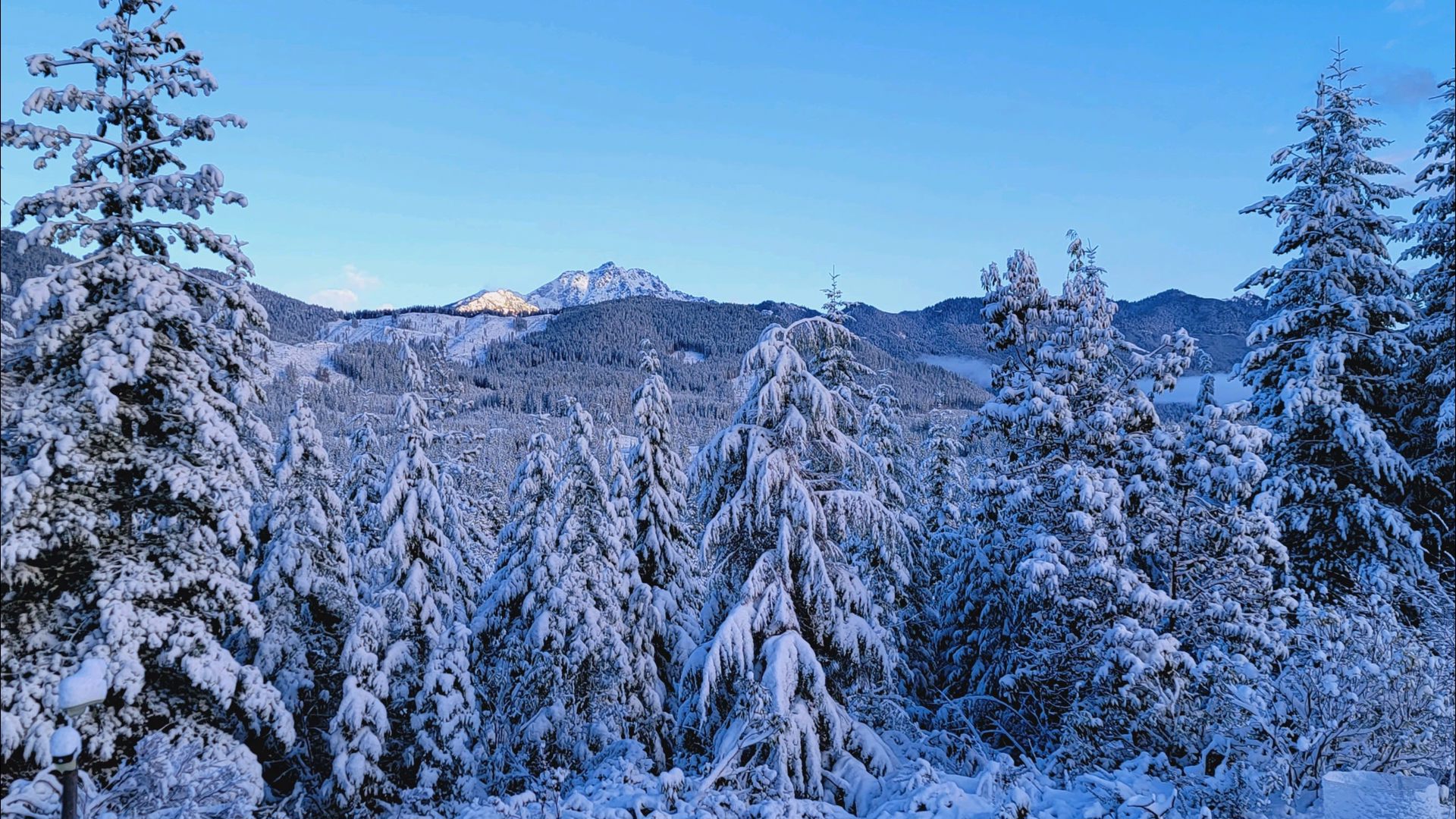 Seattle snow forecast: western Washington snow possible this week ...