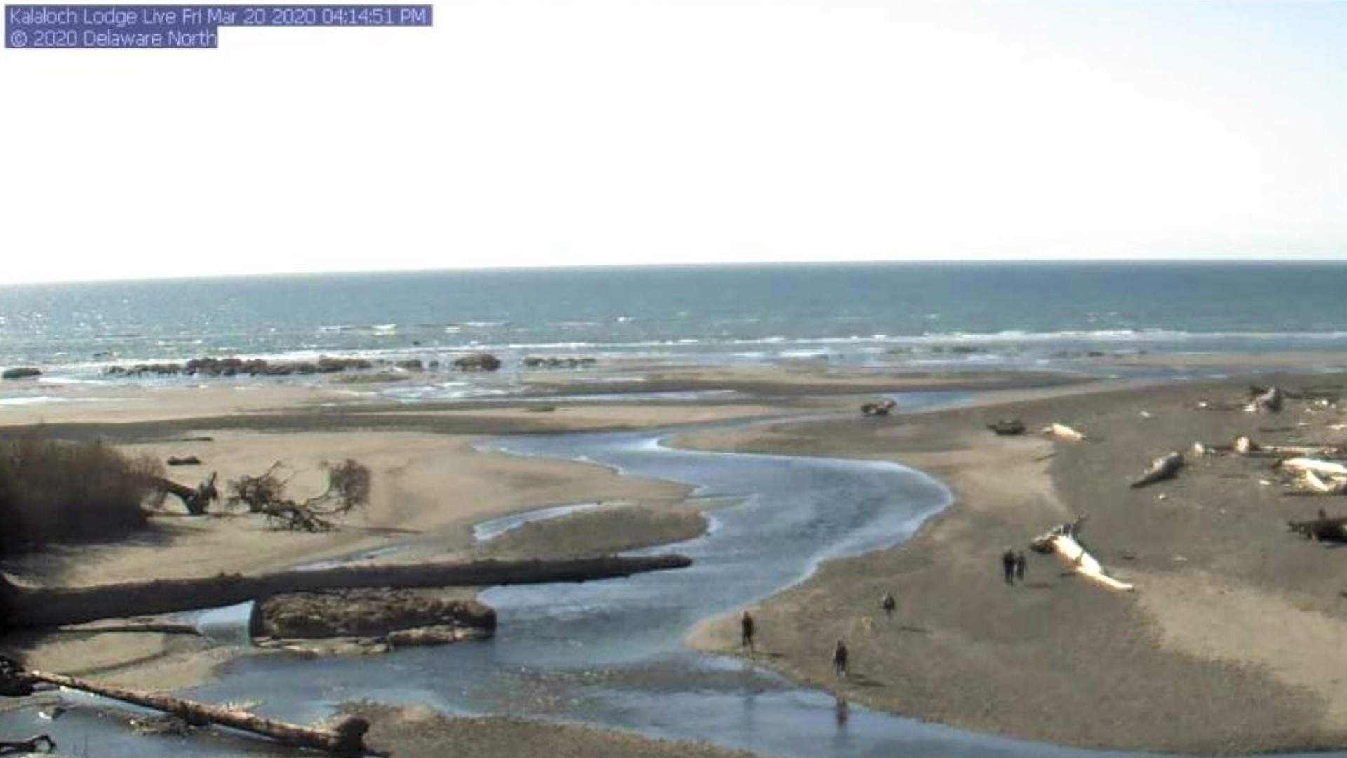 25+ live web cams to help you virtually leave the house | king5.com