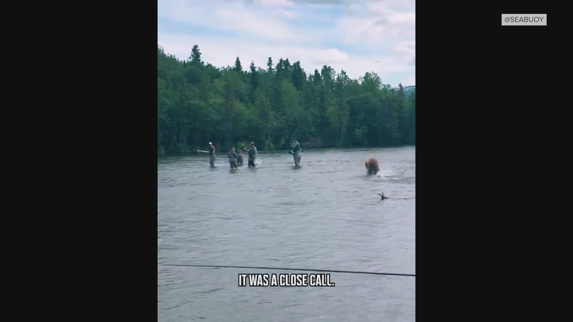 Alaskan bear encounter with Kraken mascot caught on video | king5.com