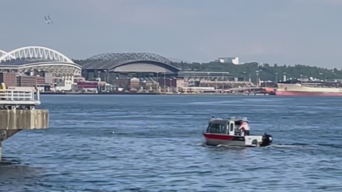 What we know about the plane that crashed into Seattle's Elliott Bay ...