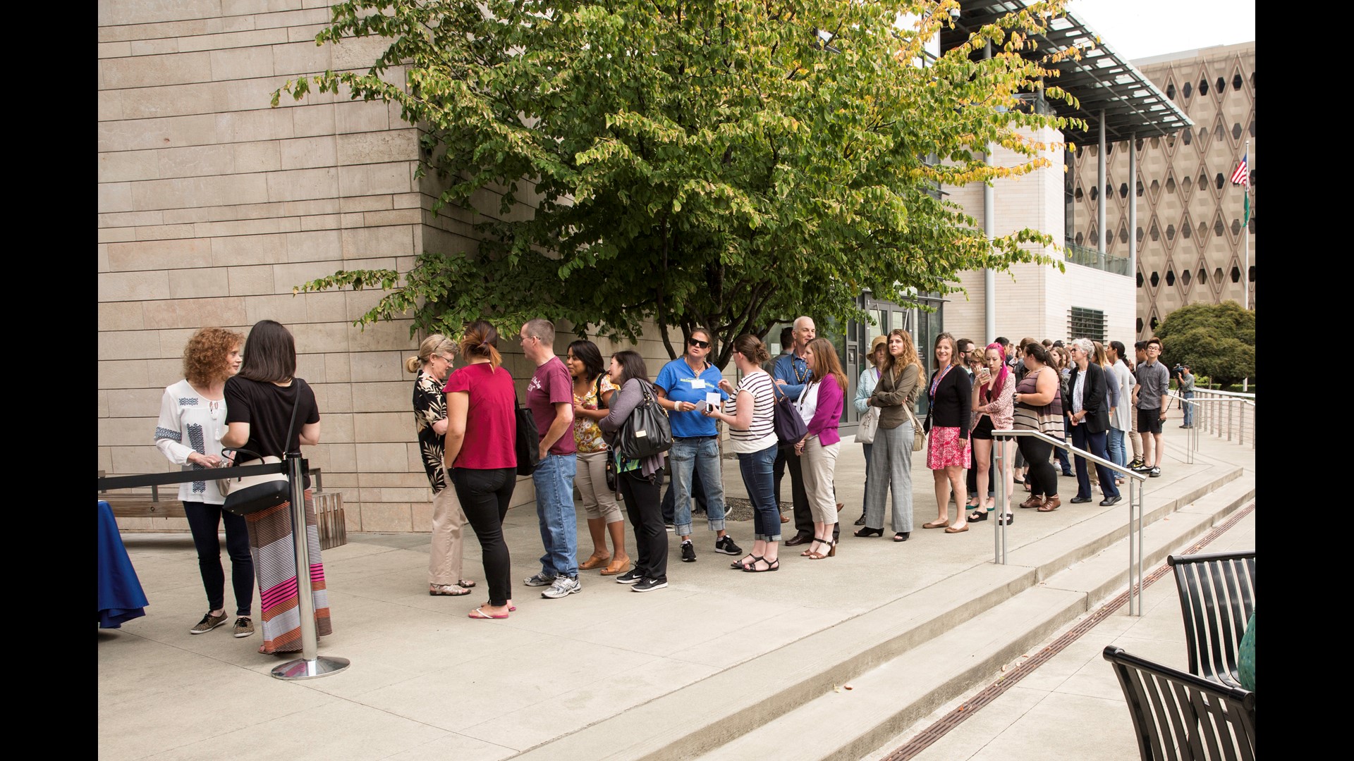 Cats takeover Seattle 'Kitty Hall' for annual adoption event | king5.com