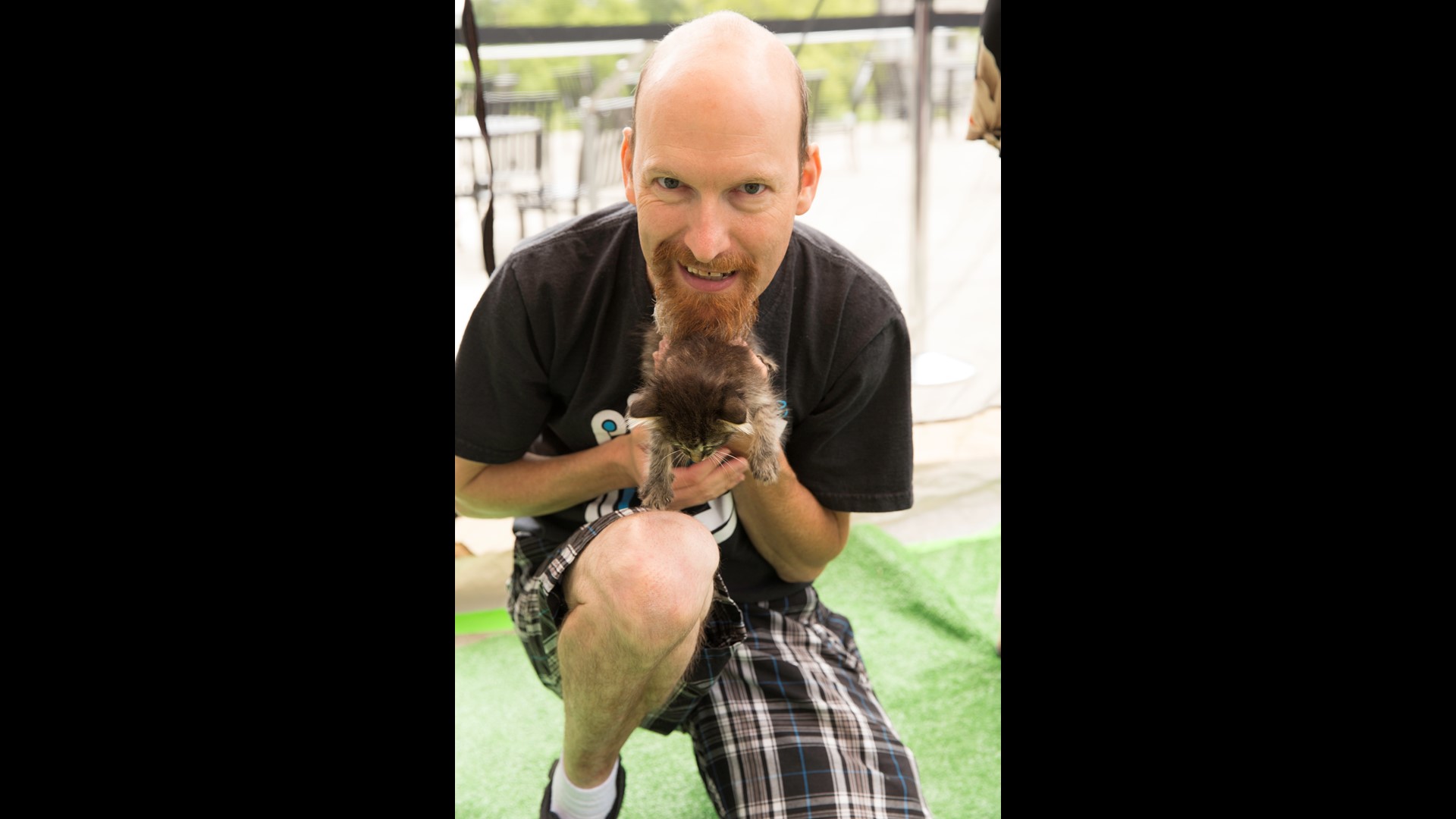 Cats takeover Seattle 'Kitty Hall' for annual adoption event | king5.com