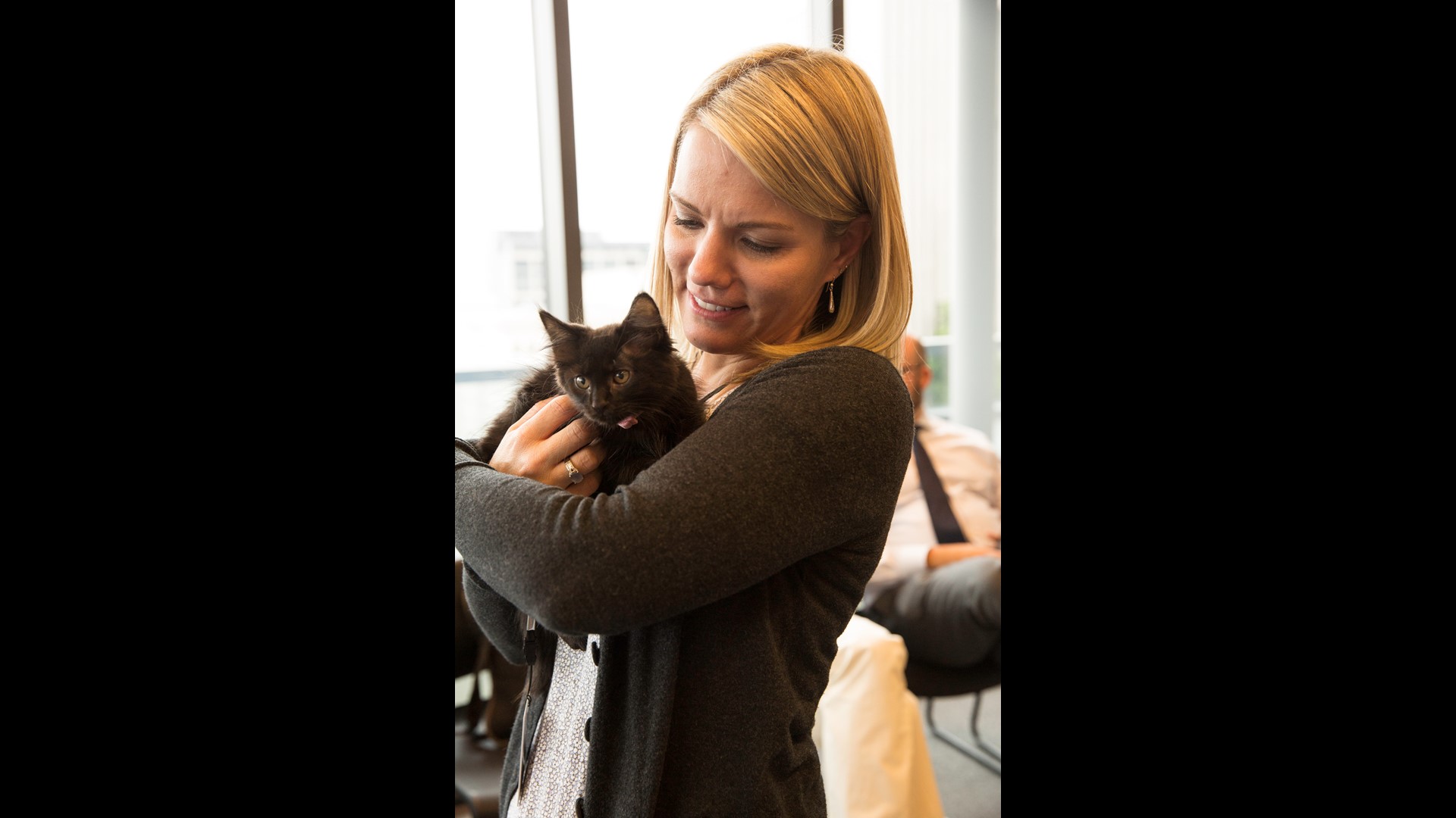 Cats takeover Seattle 'Kitty Hall' for annual adoption event | king5.com