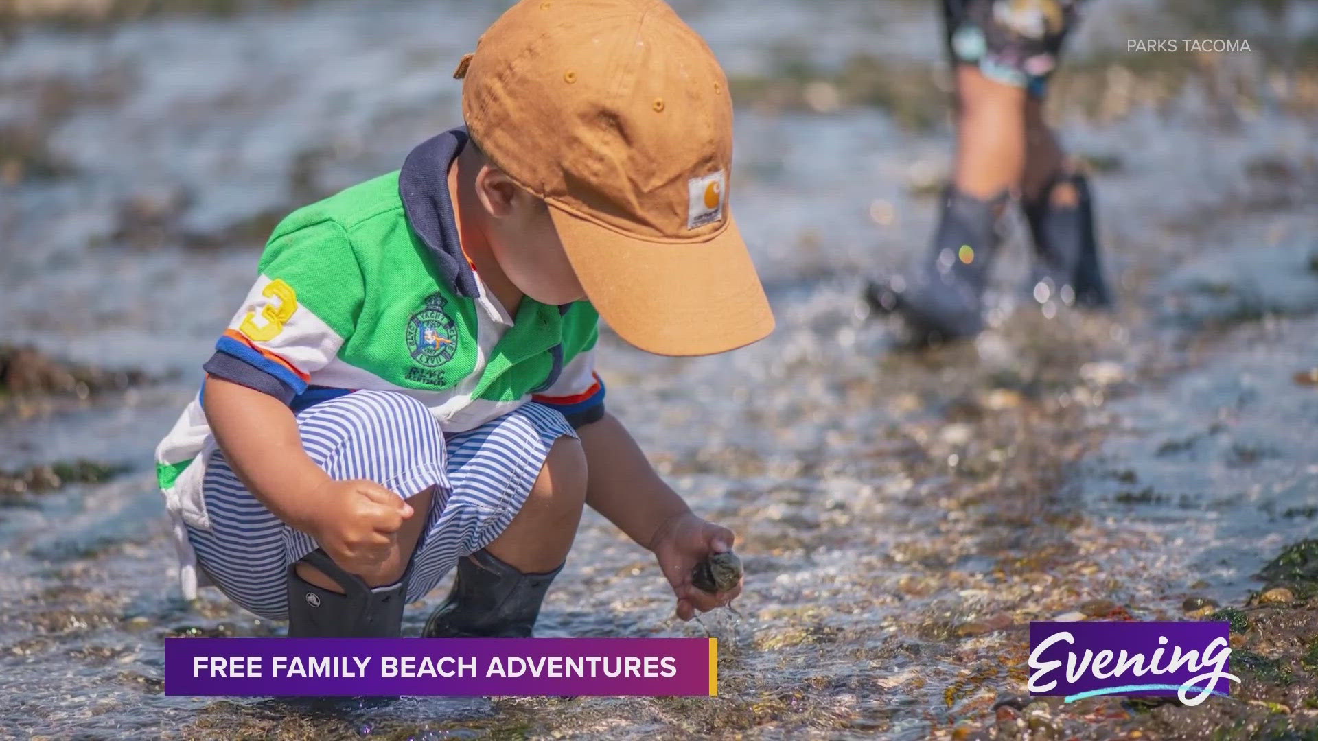 Out and about: Tidepool exploring in Tacoma | king5.com