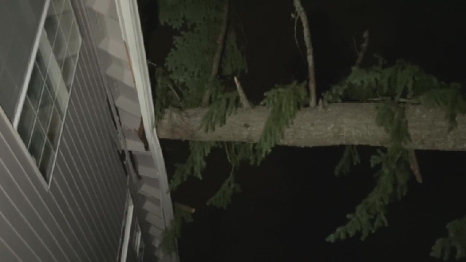 Tree falls on Sammamish home | king5.com