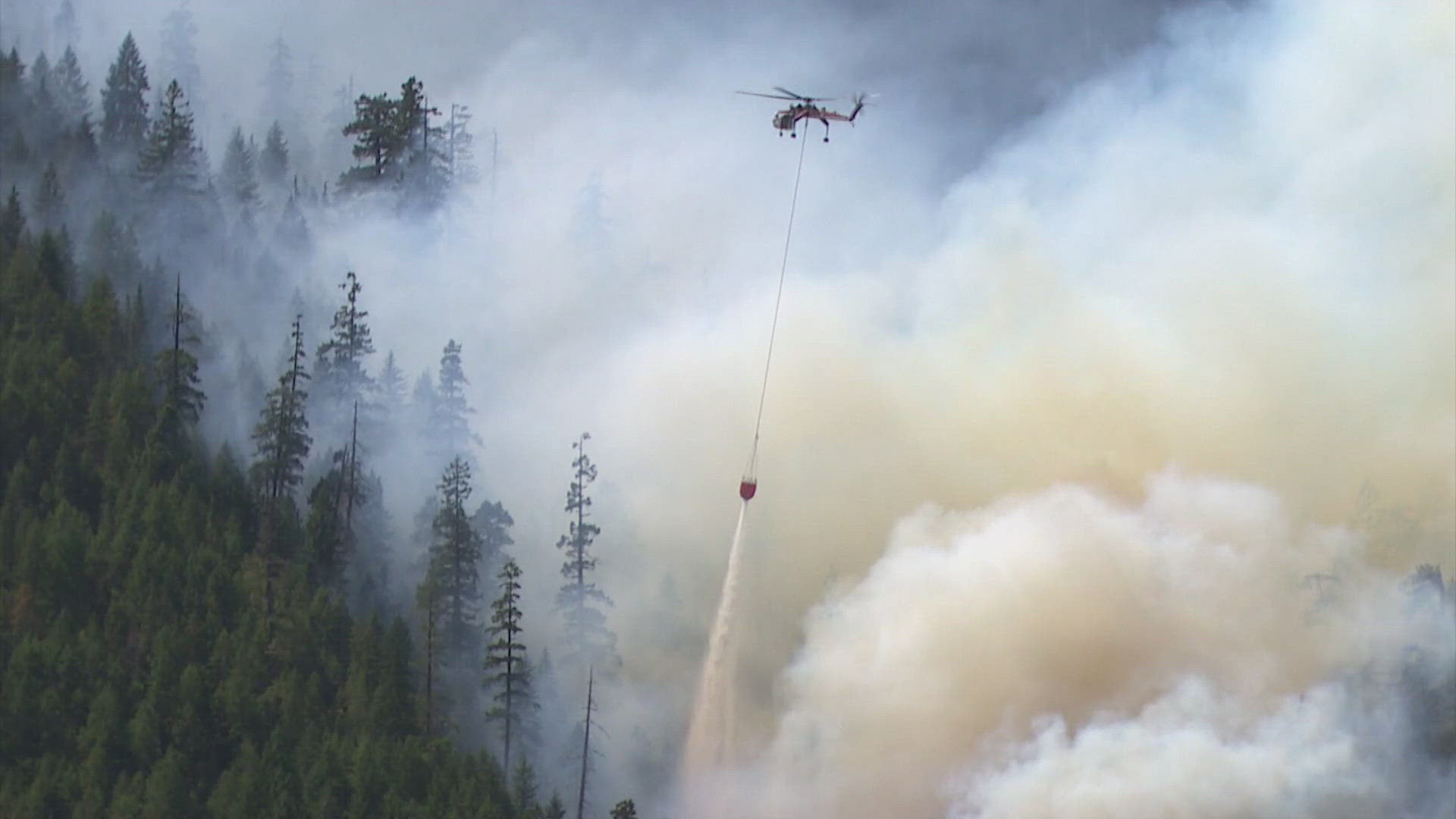 Wildfire grows in Olympic National Forest | king5.com