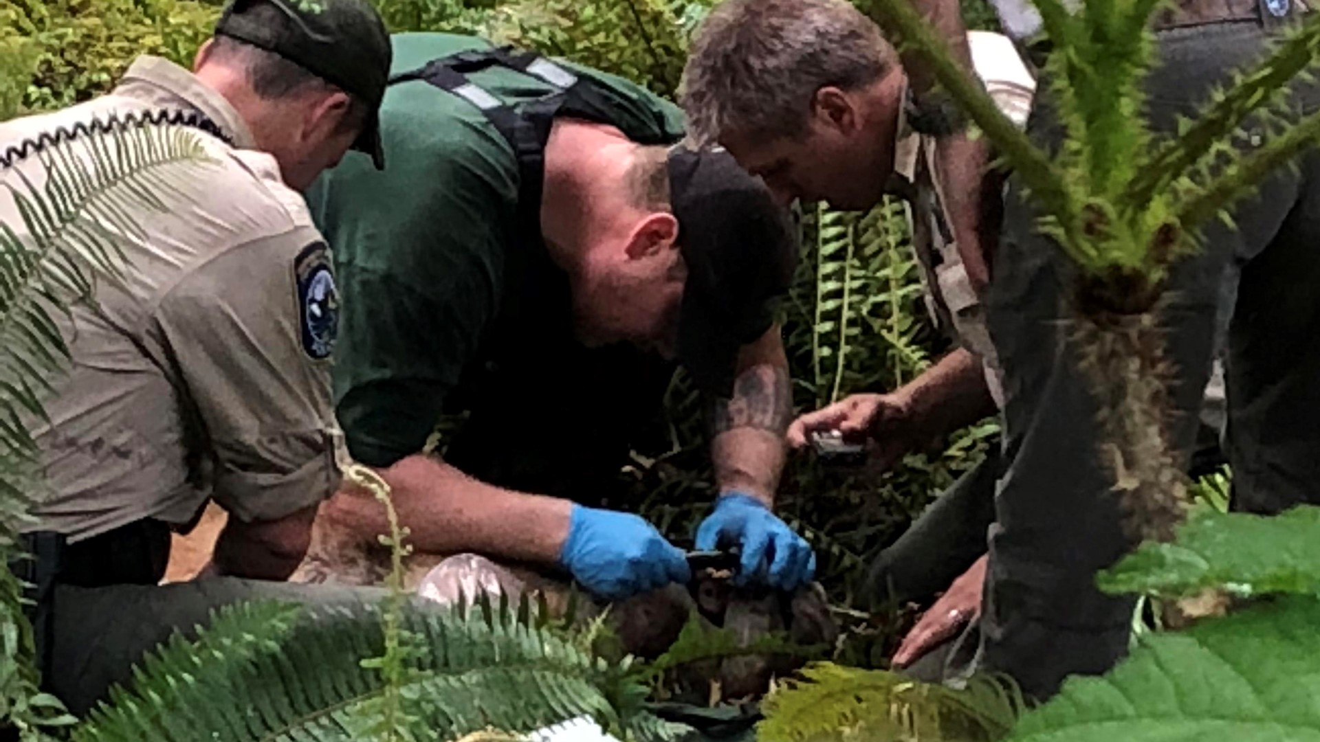 Cougar attack kills one; 2nd man in satisfactory condition | king5.com