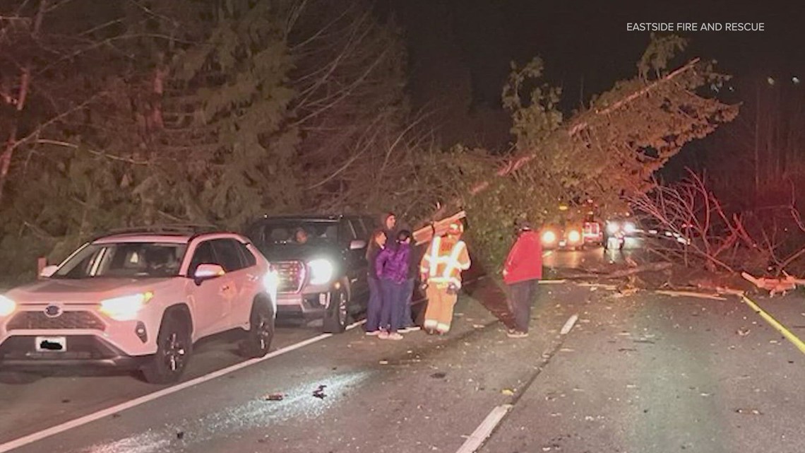 Falling tree kills 1 person on state Route 18 near Issaquah | king5.com