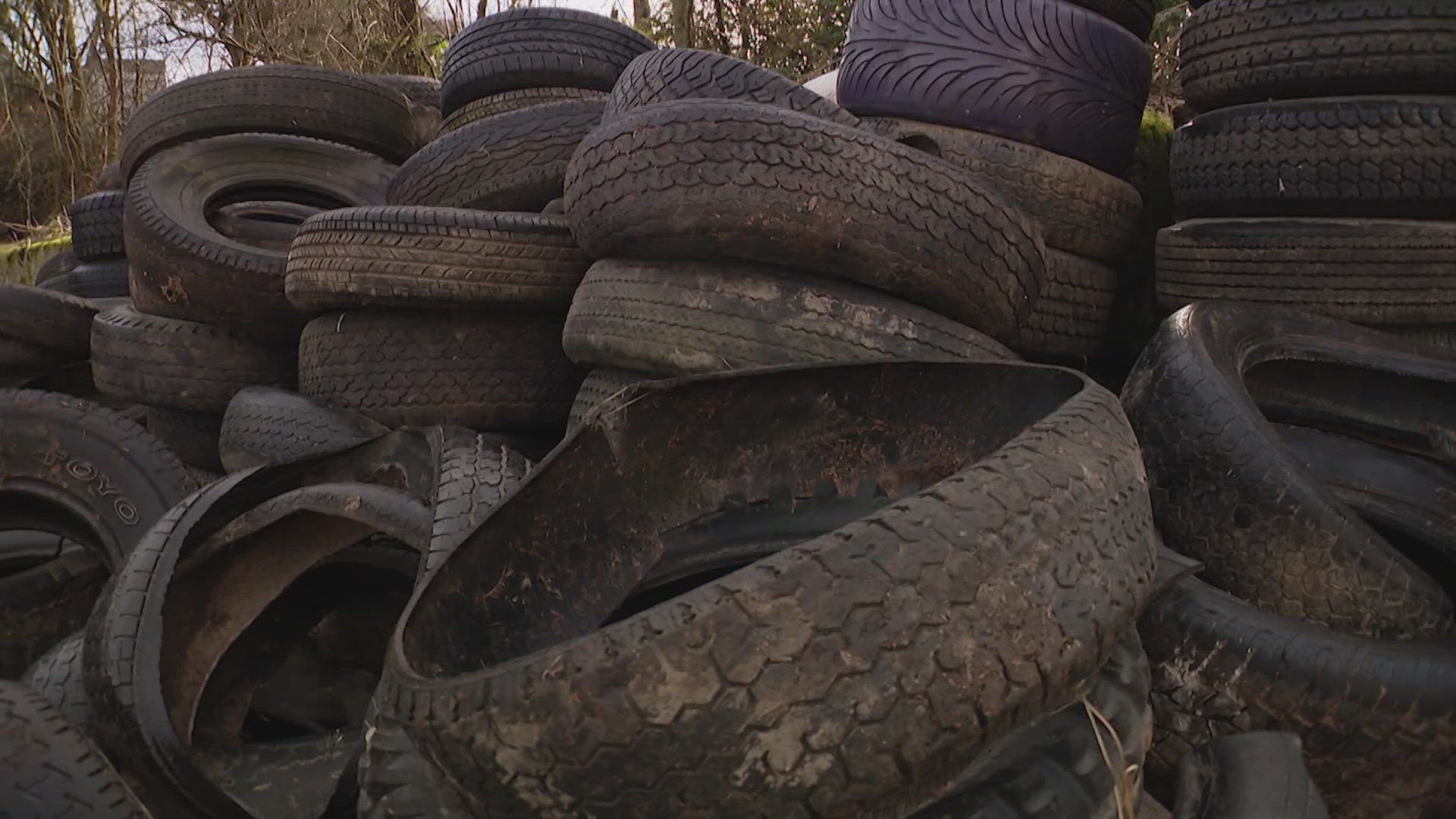 450 tires dumped in Skagit County spark environmental concerns and ...