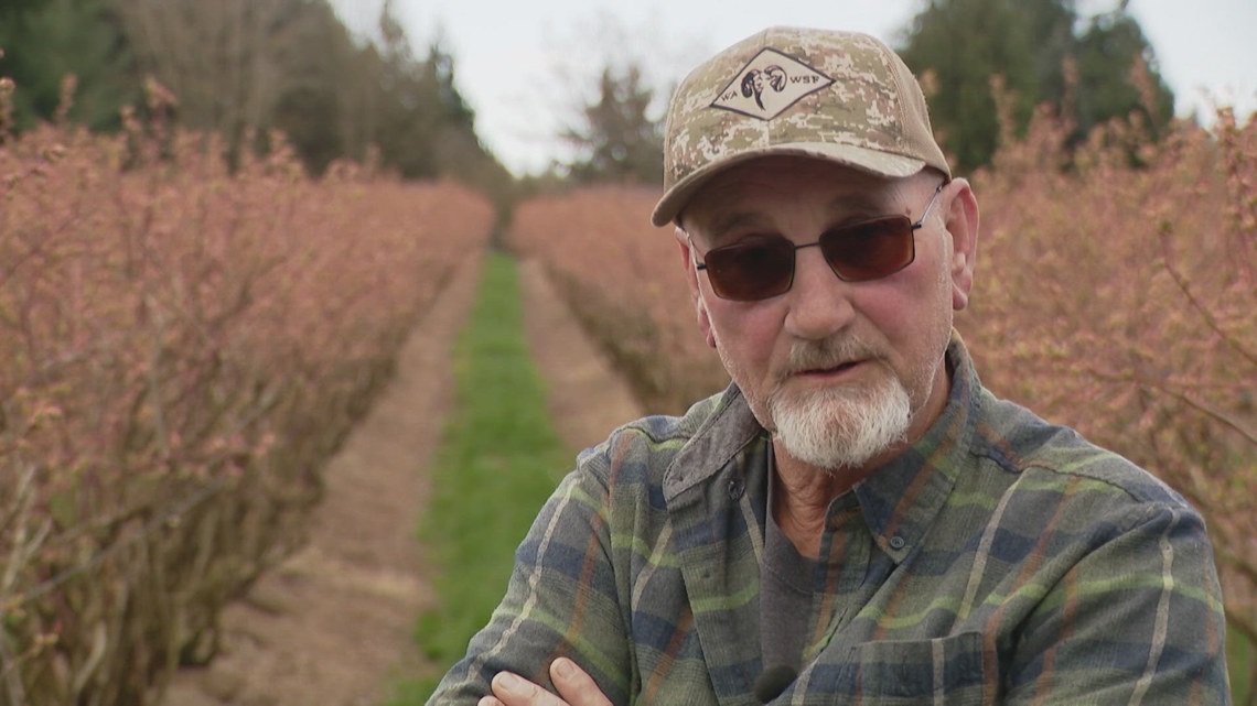 ICE raids rattle Washington farmers who backed Trump's immigration ...