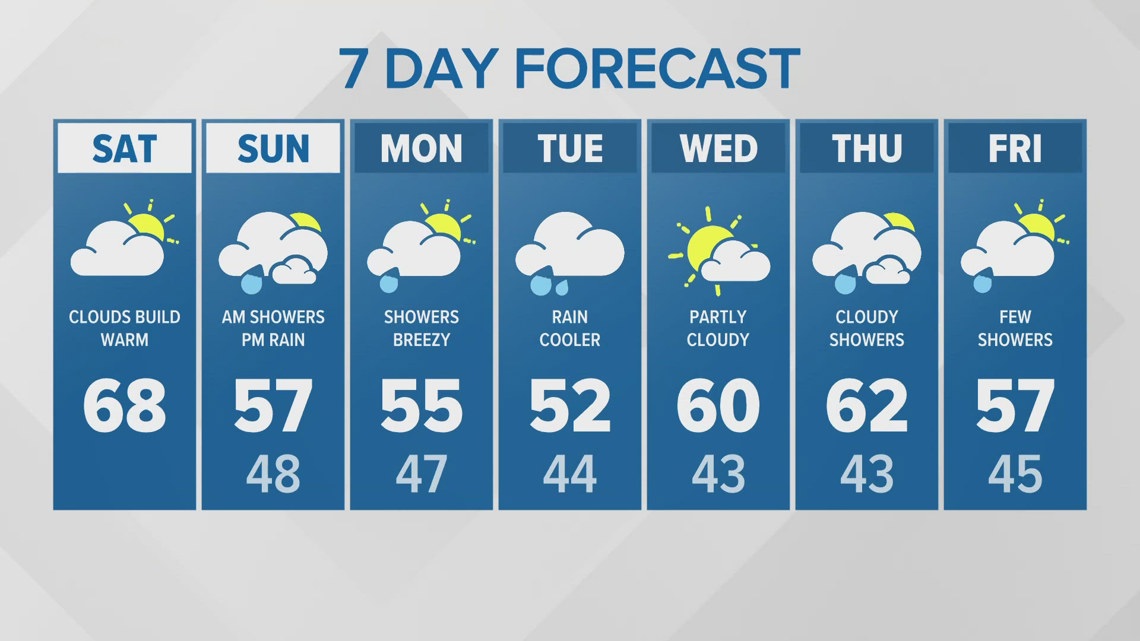 First ever sea lion pup born at Point Defiance Zoo & Aquarium | king5.com