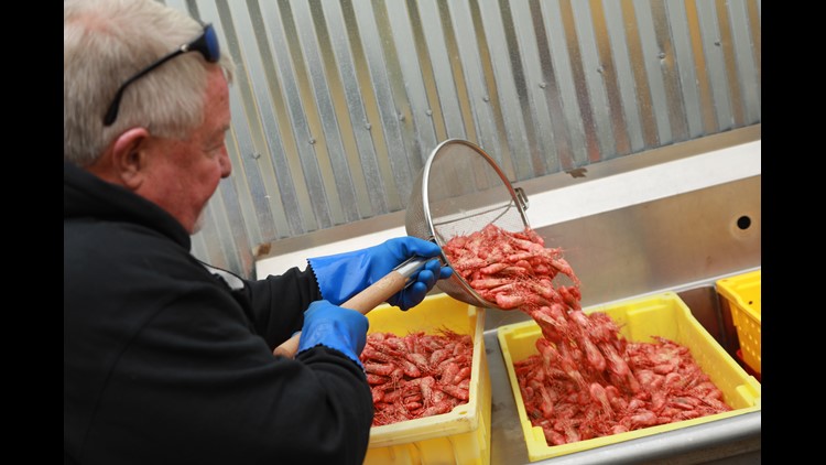 The Shrimp Shack is the seafood stop you've been dreaming of - 2019's ...