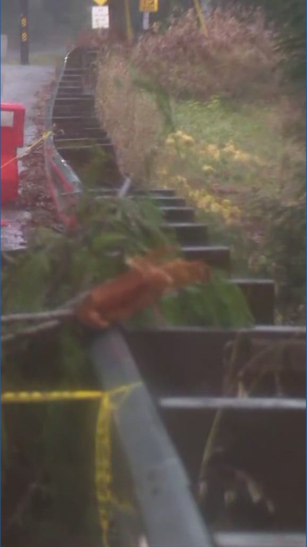 How to watch, livestream 2025 New Year's Eve fireworks at Seattle's ...