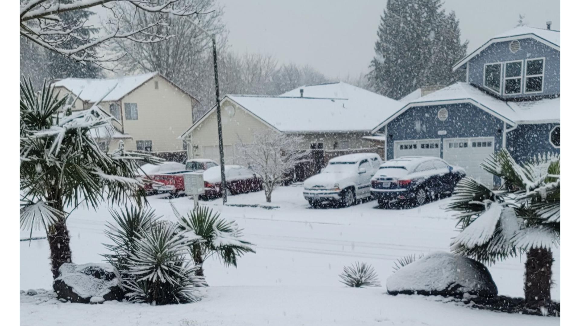 PHOTOS: Snow falls across western Washington | king5.com