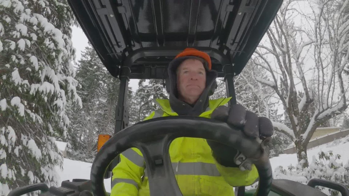 Clear driveways, shake snow off trees before next wave of winter ...