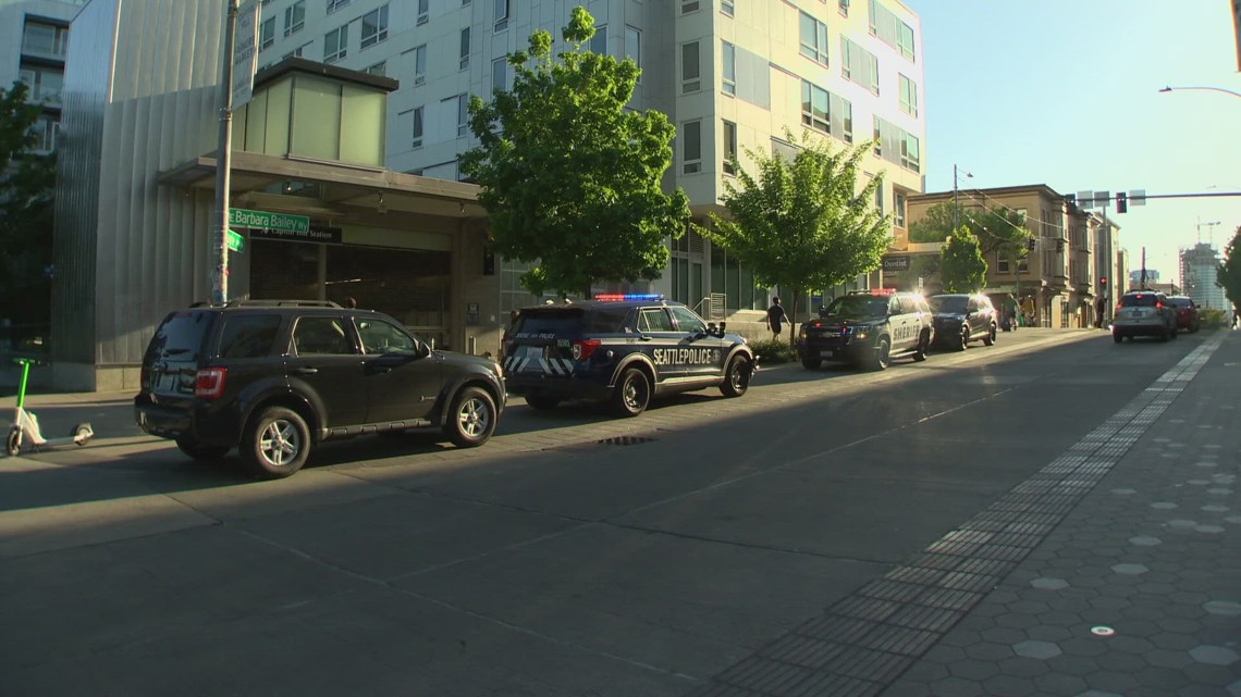 Capitol Hill light rail station stabbing suspect charged | king5.com