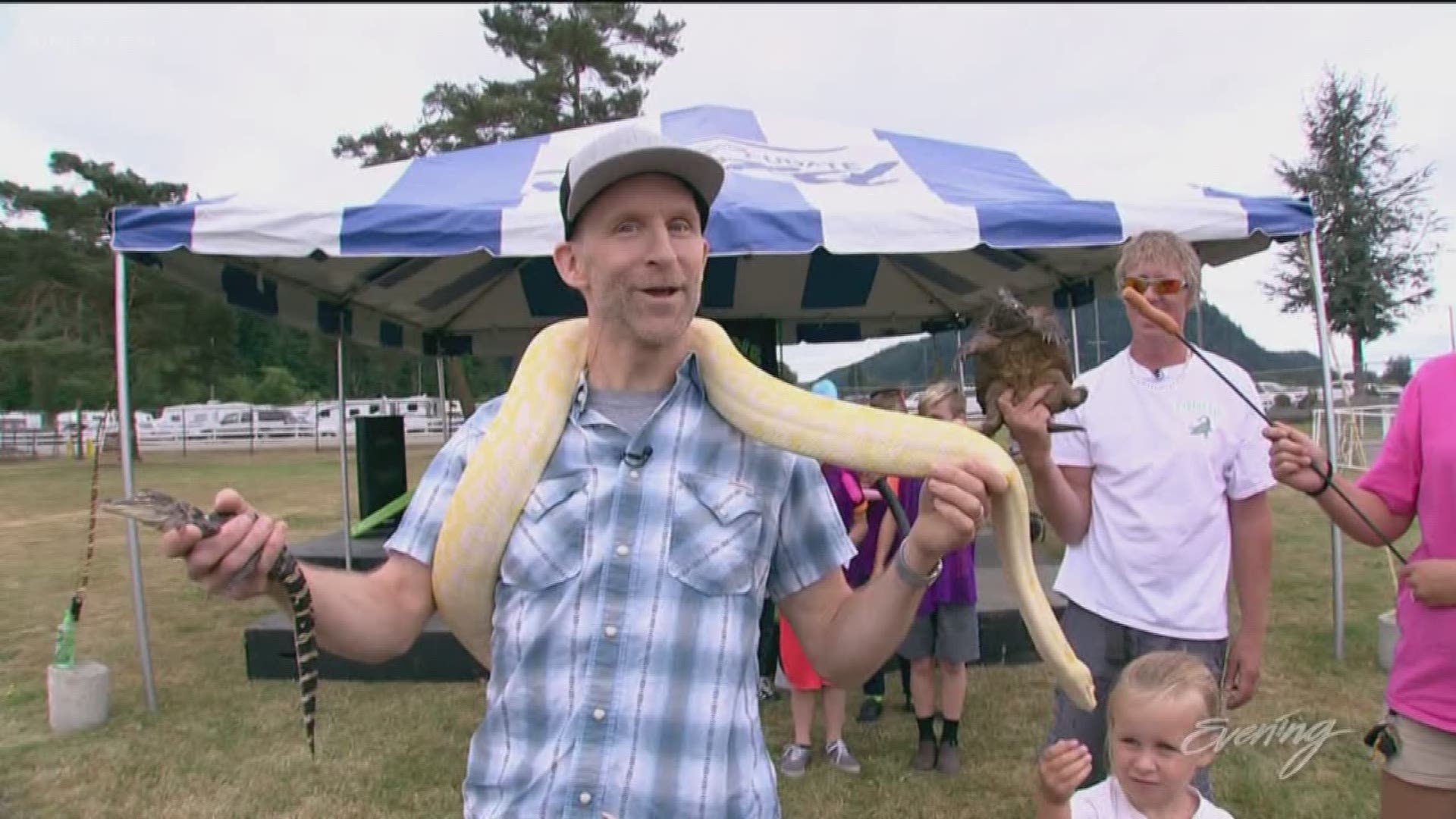 A classic county fair at a fair price, King County Fair opens in ...